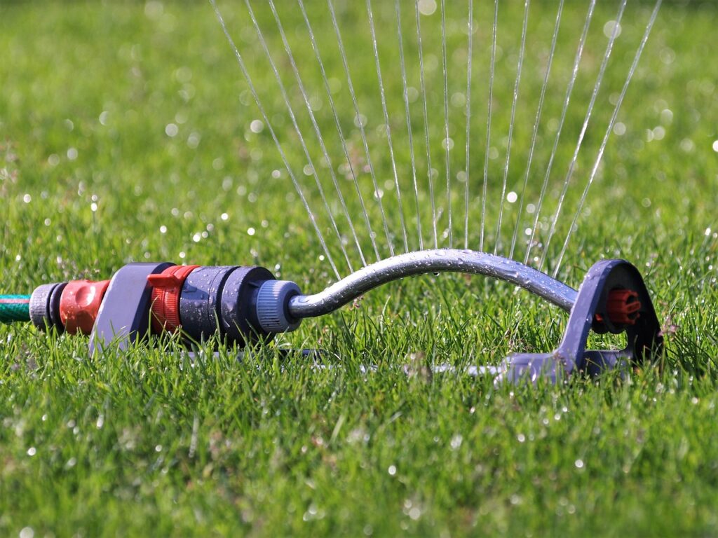 Year-Round Lawn Care: The Ultimate Seasonal Watering Guide for Cool ...