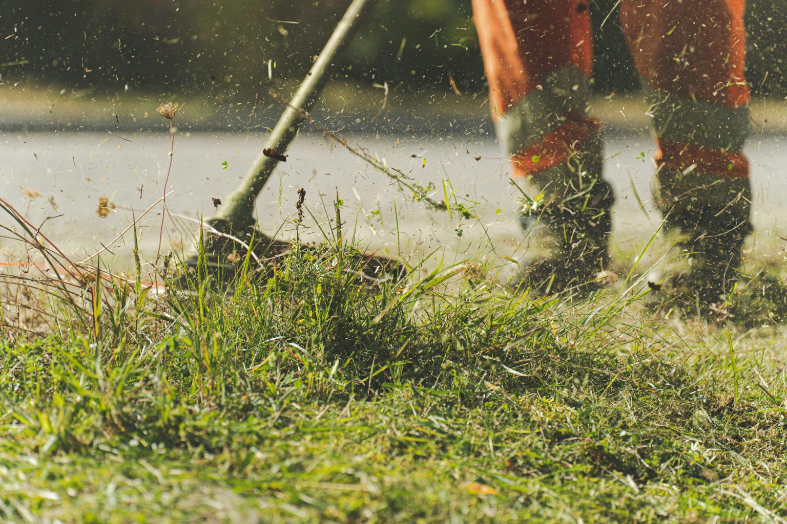 Best Budget-Friendly Lawn Edgers for Homeowners in 2025 - Landscape ...